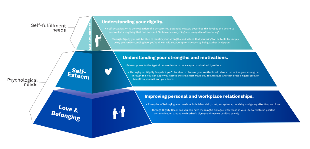 About Dignify Dignify